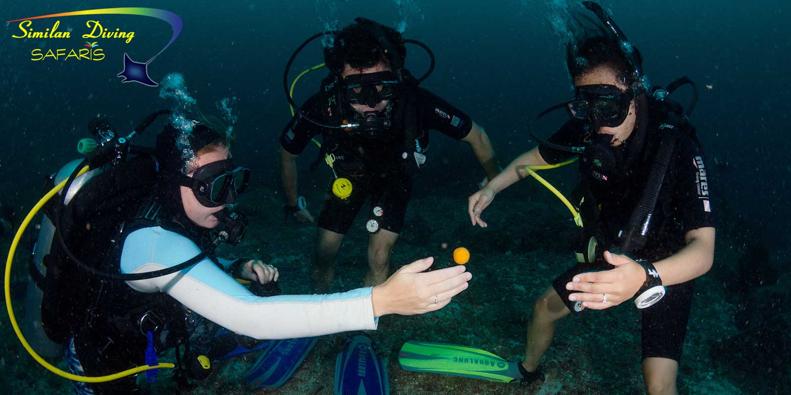 PADI AOW Course Dolphin Queen